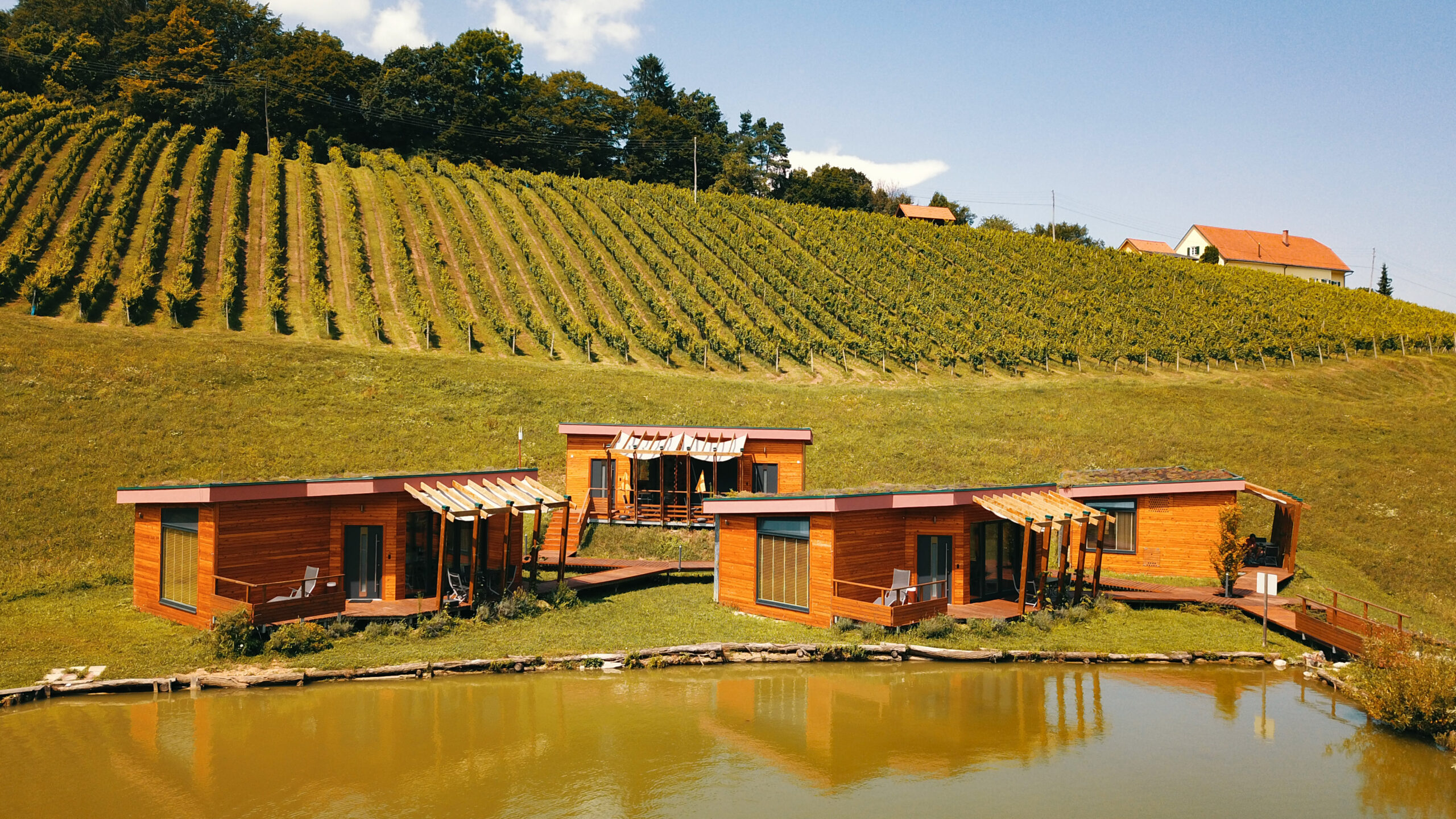 Glamping Vinski raj Marezige - Glamping